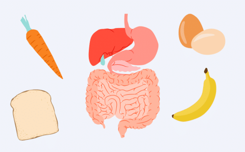 Understanding Healthy Bowel Movements: What's Normal and When to Worry